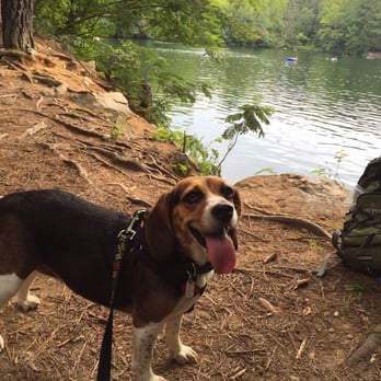 ENO QUARRY - Updated January 2026 - 54 Photos & 11 Reviews - 4955 Howe ...