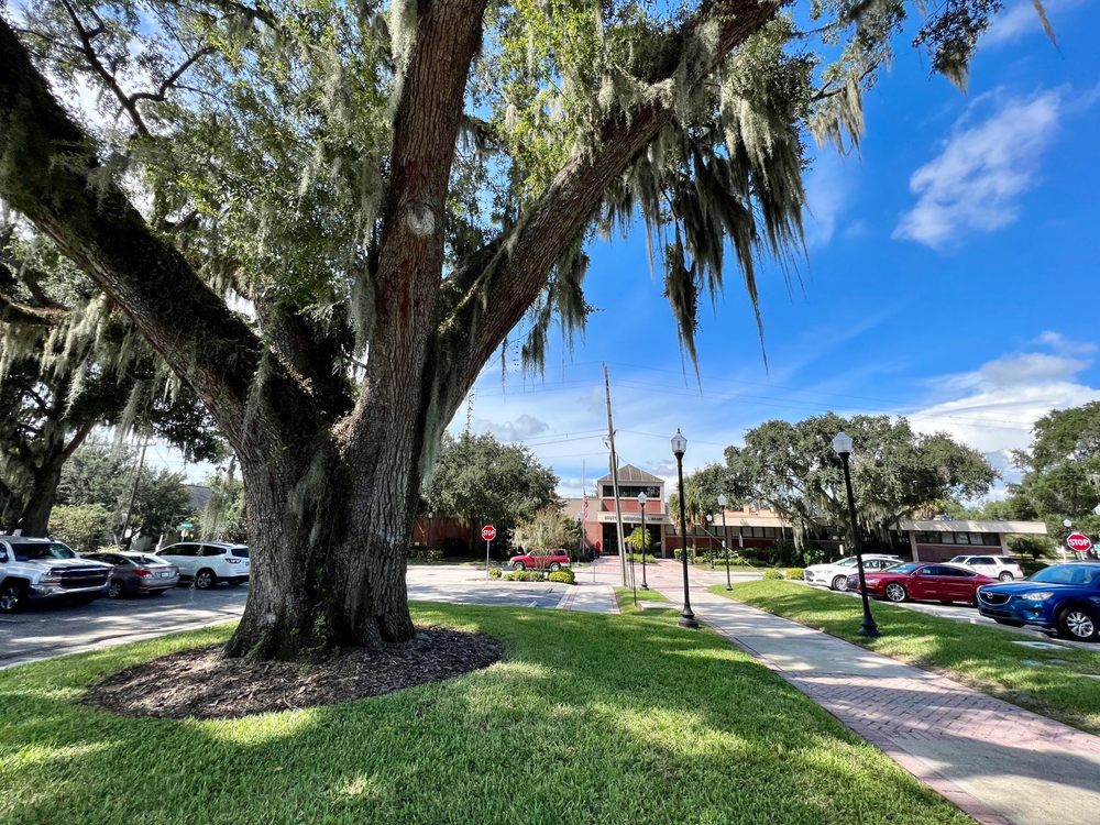 BRUTON MEMORIAL LIBRARY - Updated August 2025 - 21 Photos - 302 W ...