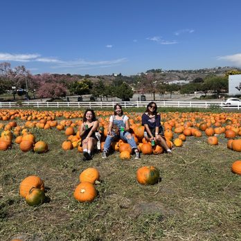 CAL POLY POMONA PUMPKIN FESTIVAL - Updated October 2024 - 571 Photos ...