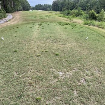 CRESCENT POINTE GOLF CLUB - Updated December 2025 - 37 Photos & 35 ...