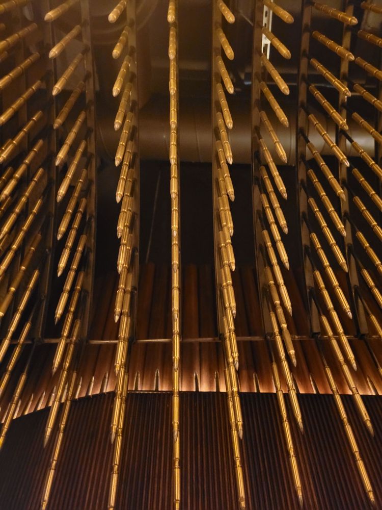 TROPHY ROOM - Updated September 2024 - 113 Photos & 83 Reviews - 2 N ...