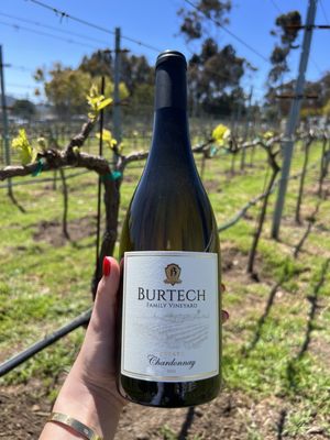BURTECH FAMILY VINEYARD TASTING ROOM - Updated August 2024 - 105 Photos ...