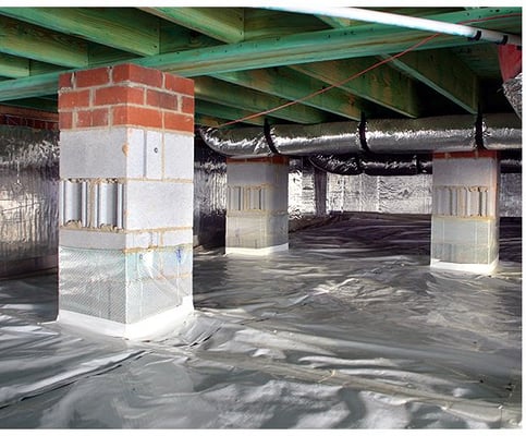 Clint Miller Exterminating - Trusted Since 1984 - Updated July 2025 ...