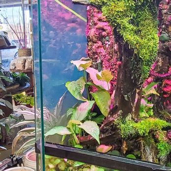 JUNGLE BOX - Updated December 2025 - 140 Photos & 42 Reviews - 1735 E ...