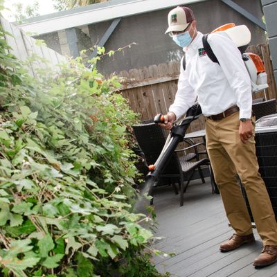 BULWARK EXTERMINATING - Updated August 2025 - 41 Photos & 10 Reviews ...