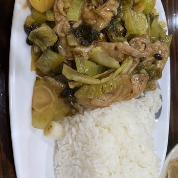 SHING KEE - Updated January 2025 - 195 Photos & 106 Reviews - 600 ...