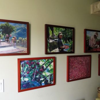 JAVA PURA COFFEE ROASTERS - Updated October 2025 - 111 Photos & 39 ...