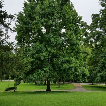 PARMER PARK - Updated January 2026 - 33 Photos - 578 Leake Ave, Belle ...