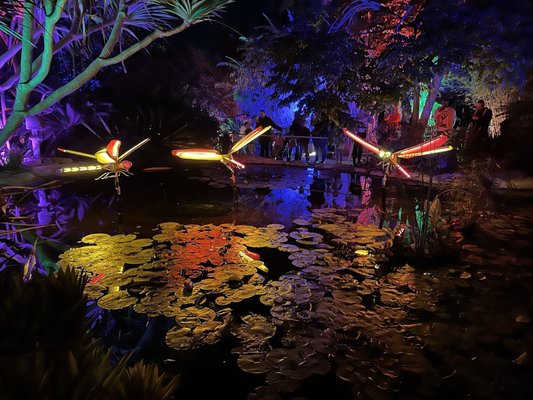 LIGHTSCAPE SAN DIEGO - Updated October 2025 - 250 Photos & 59 Reviews ...