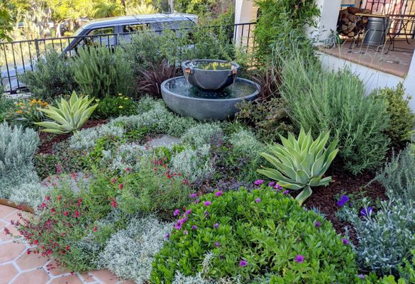 FIRMLY PLANTED - 36 Photos - Los Angeles, California - Landscaping - Yelp