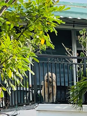 NORTH BEACH RESTAURANTS AND SHOPPES - Updated October 2025 - 18 Photos ...