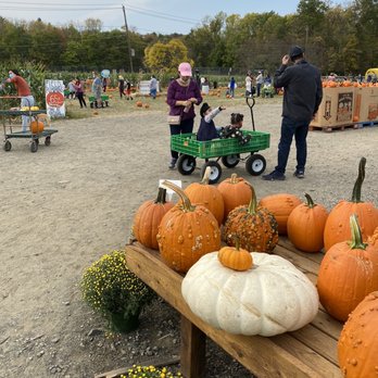 SECOR FARMS - Updated October 2024 - 212 Photos & 79 Reviews - 168 ...