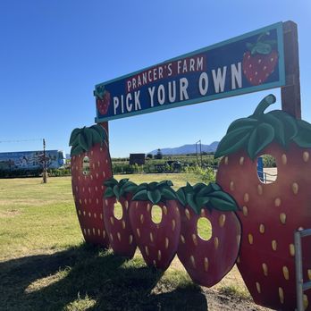 PRANCERS FARM - Updated December 2025 - 173 Photos & 51 Reviews - 18540 ...