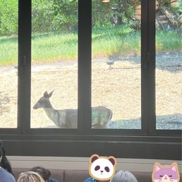 PERRY’S - NOVATO - Updated October 2025 - 192 Photos & 201 Reviews ...