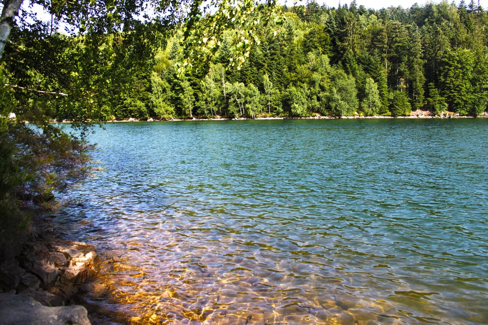 LE LAC DE PIERRE PERCEE - Updated October 2024 - Pierre Percee, Vosges ...