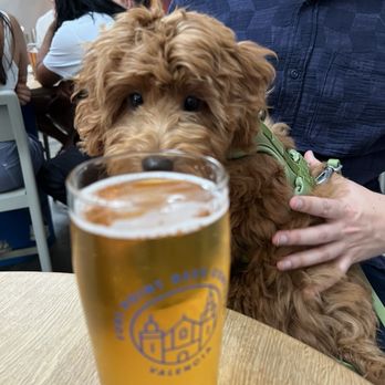 FORT POINT - VALENCIA - Updated December 2024 - 348 Photos & 145 ...