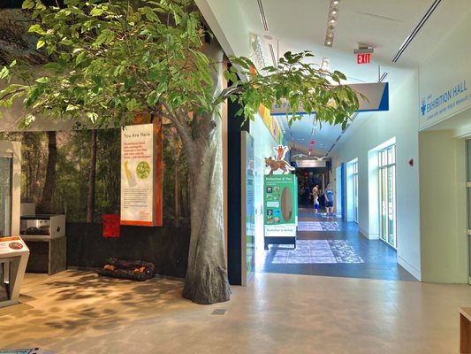 DELAWARE MUSEUM OF NATURE AND SCIENCE - Updated January 2026 - 137 ...