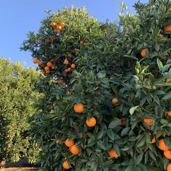 GLESS RANCH - Updated September 2025 - 390 Photos & 195 Reviews - 19985 ...