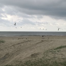 Top 10 Best Beaches in Port Arthur, TX - Last Updated July 2021 - Yelp