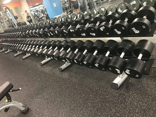 WORLD GYM - Updated April 2025 - 12 Photos - 10655 Southport Road SW ...