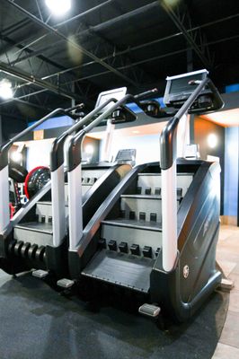 HAMMERHEAD GYM - Updated July 2024 - 21 Photos - 1013 Cape Coral Pkwy E ...