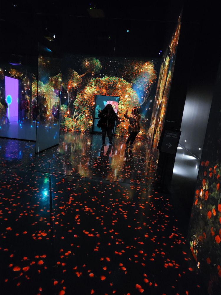 ARTE MUSEUM - Updated July 2024 - 809 Photos & 176 Reviews - 3716 S Las ...