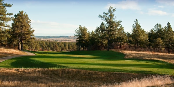 GOLF CLUB AT BEAR DANCE - Updated June 2024 - 35 Photos & 52 Reviews ...