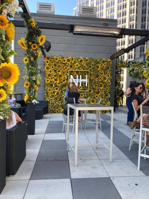 NOVELTY HOUSE - Updated December 2025 - 132 Photos & 63 Reviews - 123 E ...