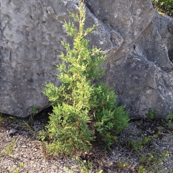 CASTALIA QUARRY METROPARK - Updated October 2025 - 26 Photos - 8404 ...