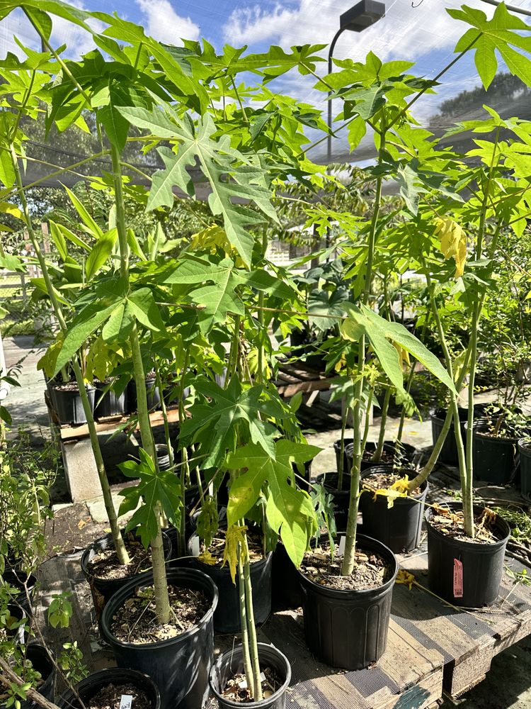 FLOGROWN FARM - Updated October 2025 - 39 Photos - 7600 NW 84th Ave ...