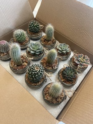 BUENA CREEK NURSERY - Updated July 2025 - 11 Photos & 17 Reviews - 1280 ...