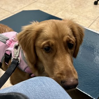 BANDERAS PET HOSPITAL & BOARDING - Updated January 2026 - 52 Photos ...