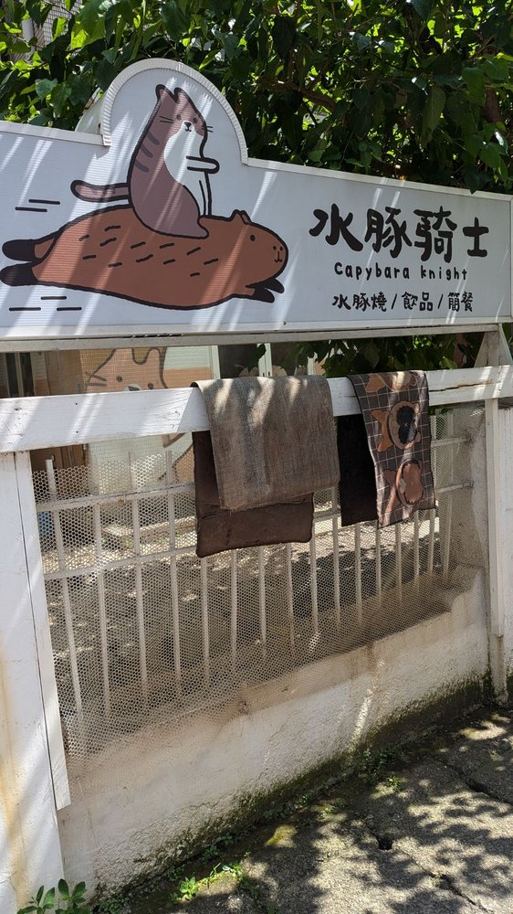 CAPYBARA KNIGHT - Updated July 2024 - Alley 2, Lane 61, Yuanlin St 18 ...