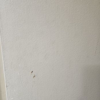 RED LION HOTEL KELSO LONGVIEW - Updated August 2025 - 217 Photos & 154 ...