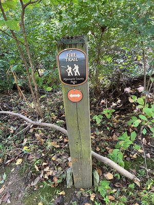 MINT SPRINGS VALLEY PARK - Updated May 2026 - 23 Photos - 6659 Mint ...