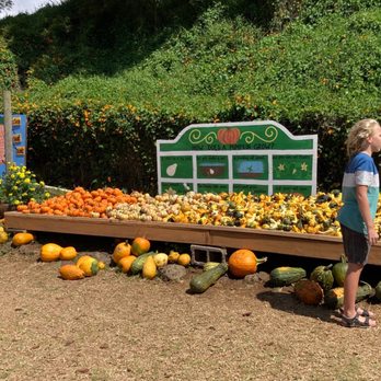 KULA COUNTRY FARMS - 844 Photos & 114 Reviews - 6240 Kula Hwy, Kula ...