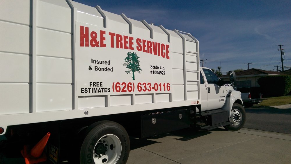 H & E TREE SERVICE - Updated October 2025 - 239 Photos & 330 Reviews ...