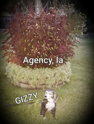 OSTRANDER FLOWERS & GREENHOUSES - Updated December 2025 - 1243 25th Ave ...