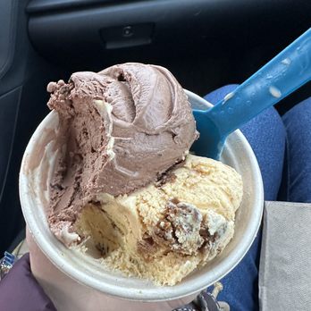 WILD SCOOPS - Updated April 2025 - 246 Photos & 172 Reviews - 530 E ...