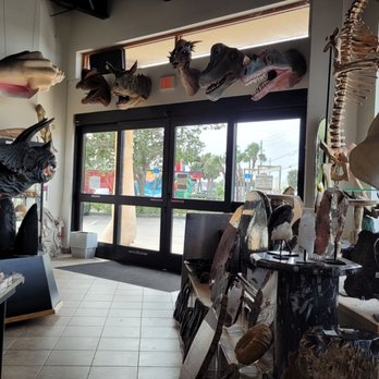 THE DINOSAUR STORE - Updated December 2025 - 201 Photos & 93 Reviews ...