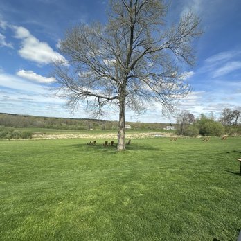 HAWK RIDGE WINERY - Updated July 2024 - 360 Photos & 171 Reviews - 28 ...