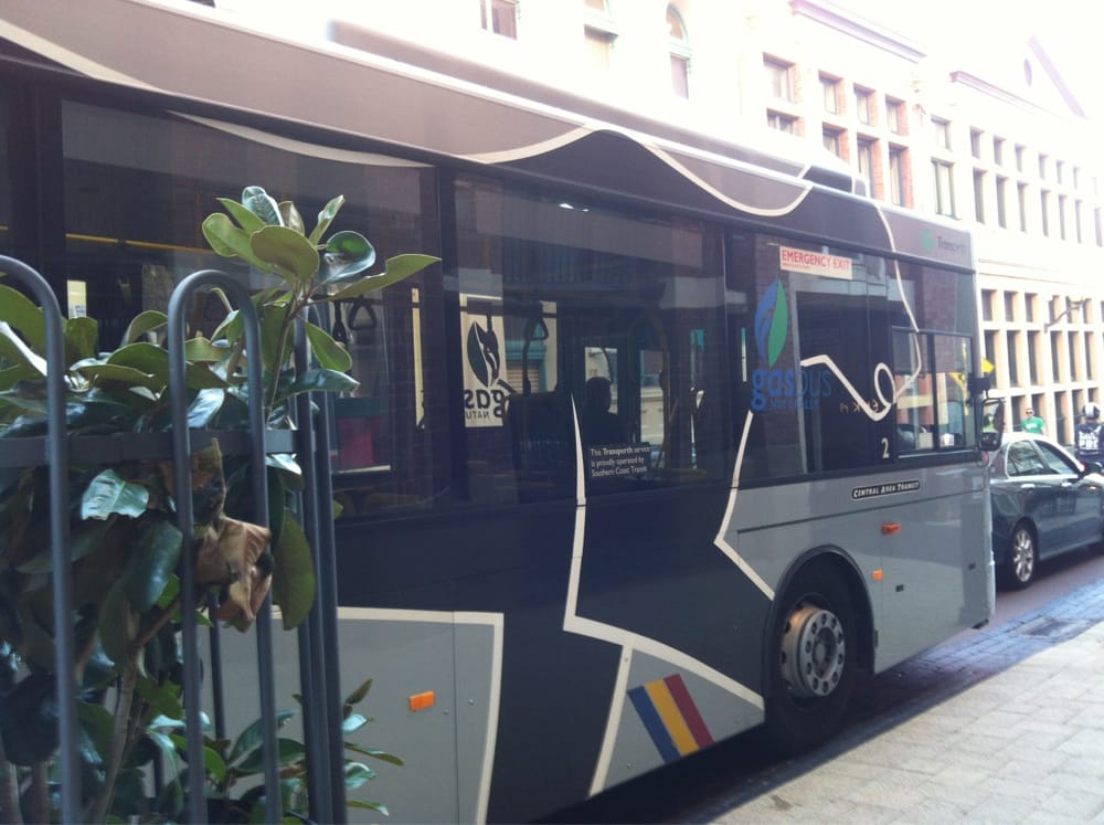 THE YELLOW CAT - Perth Western Australia, Australia - Public Services ...