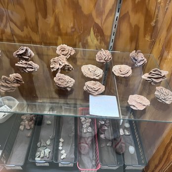 DEMING LUNA MIMBRES MUSEUM - Updated August 2025 - 270 Photos & 39 ...