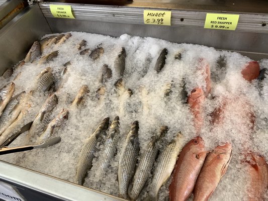 ISLAND SEAFOOD - Updated December 2024 - 27 Photos & 16 Reviews - 2304 ...