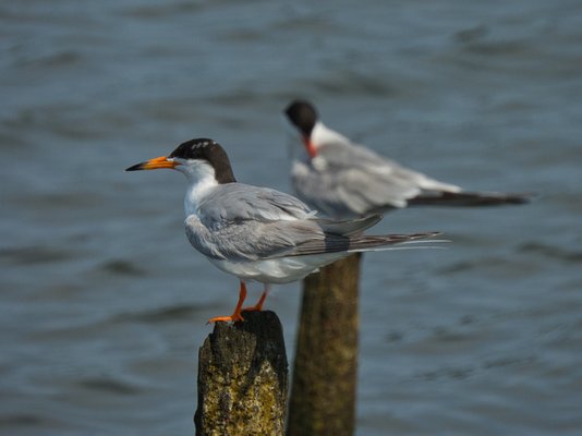 KEYPORT WATERFRONT PARK - Updated October 2025 - 138 Photos & 12 ...