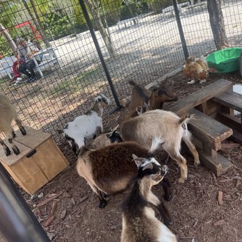 EL TORO LOCO RANCH - Updated October 2025 - 109 Photos & 36 Reviews ...