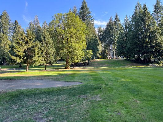 DELPHI GOLF COURSE - Updated October 2025 - 11 Photos - 6340 Neylon Dr ...