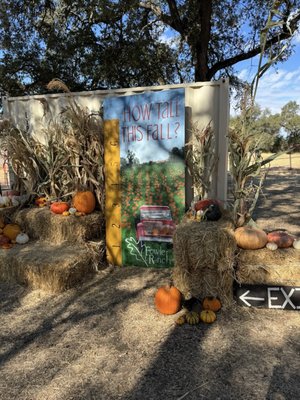 FOWLER RANCH - Updated February 2025 - 27 Photos & 22 Reviews - 3111 ...