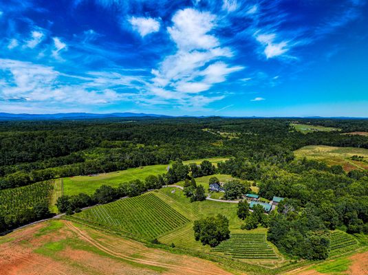 MOUNTAIN RUN WINERY - Updated November 2025 - 127 Photos & 56 Reviews ...