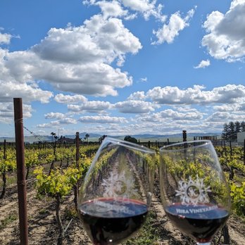 SK HIRA VINEYARDS - Updated October 2025 - 60 Photos & 26 Reviews - 8458 W Linne Rd, Tracy ...